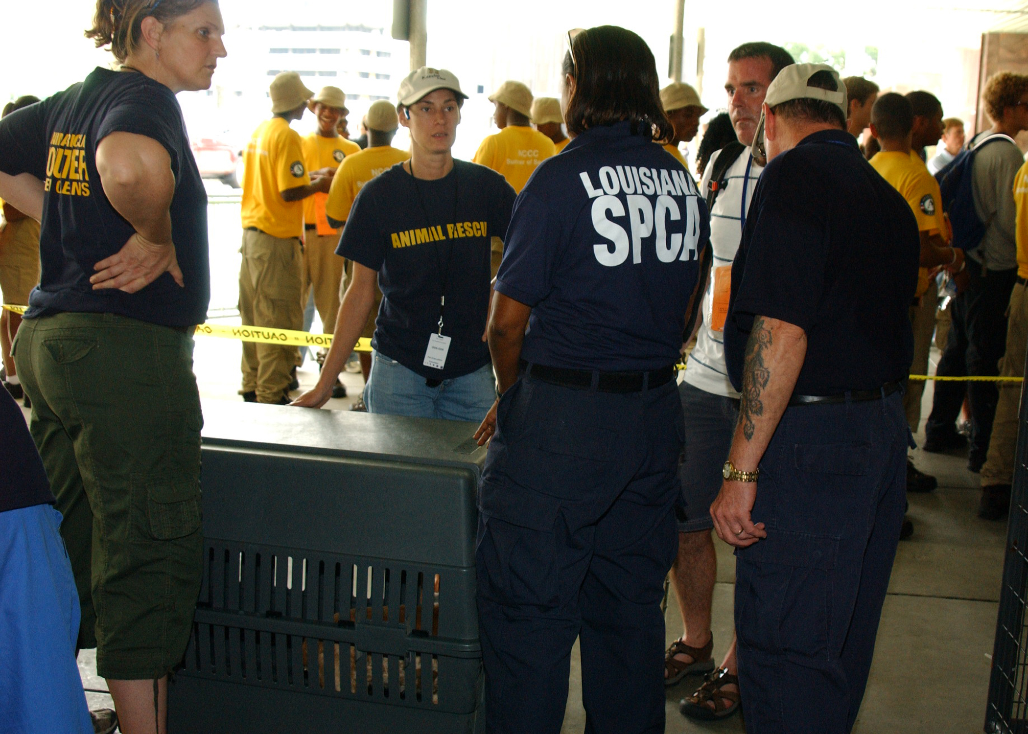 Weathering the Storm: Reflecting on New Orleans' Past - City Archives ...